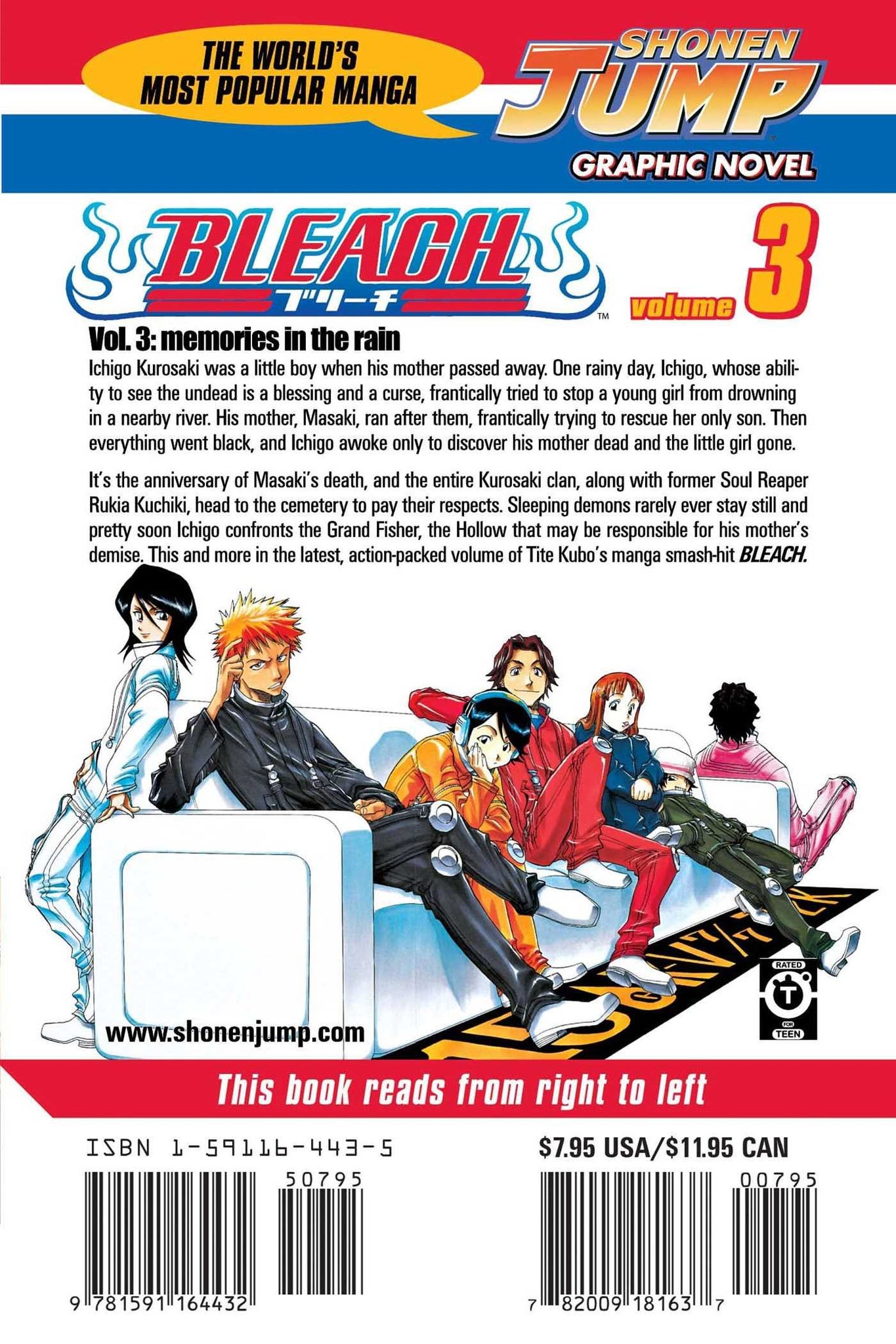 Bleach, Vol. 3 – Mix Manga Store